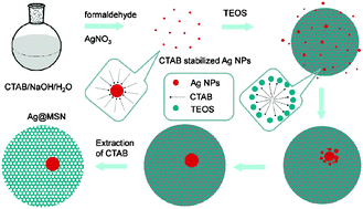 A facile one-pot synthesis of uniform core–shell silver nanoparticle ...