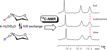 13C-NMR quantification of proton exchange at LewisX hydroxyl groups in ...