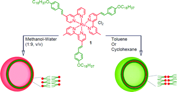 Solvent-dependent aggregation behavior of a new Ru(ii)-polypyridyl ...
