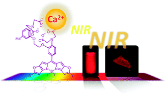 A near-infrared fluorescent calcium probe: a new tool for intracellular ...