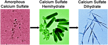 A new precipitation pathway for calcium sulfate dihydrate (gypsum) via ...