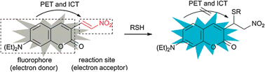 Nitroolefin-based coumarin as a colorimetric and fluorescent dual probe ...