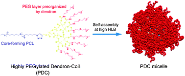 Dendron-mediated self-assembly of highly PEGylated block copolymers: a ...