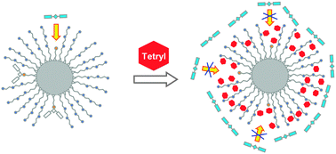 Highly selective and sensitive chromo-fluorogenic detection of the ...