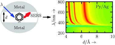 Molecular polarization bridging physical and chemical enhancements in ...