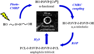 New functional poly(N-vinylpyrrolidone) based (co)polymers via ...