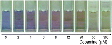Visual detection of dopamine and monitoring tyrosinase activity using a ...