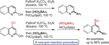 PdCl2(dppf)-catalyzed in situ coupling of 2-hydroxypyridines with aryl ...