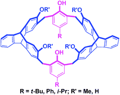 Triptycene-derived calix[6]resorcinarene-like hosts: synthesis ...