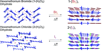 Solid-state synthesis of mixed trihalides via reversible absorption of ...