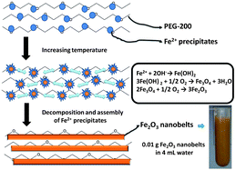 Synthesis of single-crystalline α-Fe2O3 nanobelts via a facile PEG-200 ...