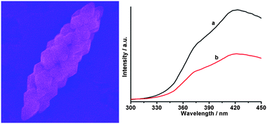 CaWO4 hierarchical nanostructures: hydrothermal synthesis, growth ...