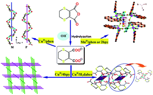 In situ syntheses, crystal structures and magnetic properties of CuII ...