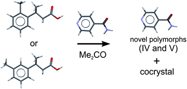 Expanding the crystal landscape of isonicotinamide: concomitant ...