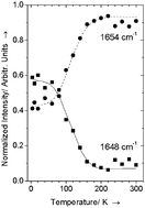Dynamics of the intermolecular hydrogen bonds in the polymorphs of ...