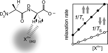 Paramagnetic relaxation of nuclear singlet states - Physical Chemistry ...