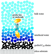 Interfacial water on hydrophobic surfaces recognized by ions and ...