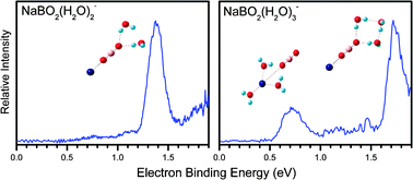 Microscopic solvation of NaBO2 in water: anion photoelectron ...