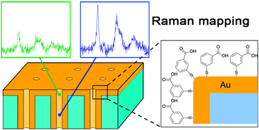 Raman spectroscopy probing of self-assembled monolayers inside the ...