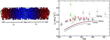 Water under temperature gradients: polarization effects and microscopic ...