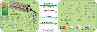 Catalytic conversion of lignocellulosic biomass to fine chemicals and ...