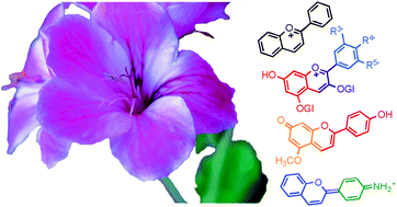 Chemistry and applications of flavylium compounds: a handful of colours ...