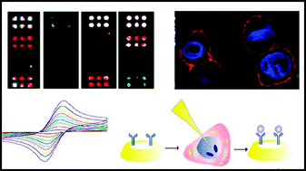 Cancer detection using nanoparticle-based sensors - Chemical Society ...