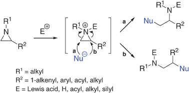 Regioselectivity in the ring opening of non-activated aziridines ...