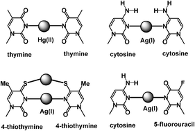 Pyrimidine Base