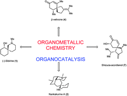 Enantioselective methodologies for the synthesis of spiro compounds ...