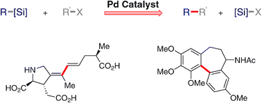 Palladium-catalysed cross-coupling of organosilicon reagents - Chemical ...