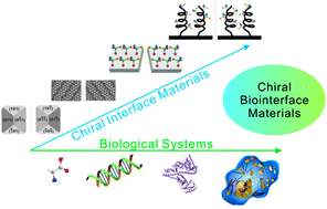 Chiral biointerface materials - Chemical Society Reviews (RSC Publishing)