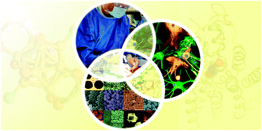 The golden age: gold nanoparticles for biomedicine - Chemical Society ...