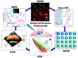 Single cell analysis at the nanoscale - Chemical Society Reviews (RSC ...