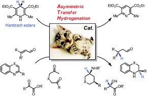Transfer hydrogenation with Hantzsch esters and related organic hydride ...