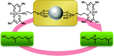 [VO(acac)2] hybrid catalyst: from complex immobilization onto silica ...