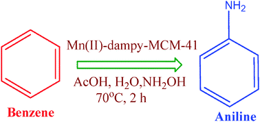 A reusable Mn(ii)-dampy-MCM-41 system for single step amination of ...