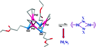 Oligomeric allyl-palladium(ii) complexes of β-substituted ...