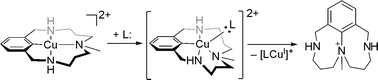 Mechanistic analysis of trans C–N reductive elimination from a square ...