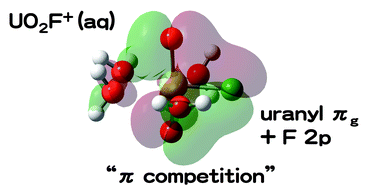 On the “yl” bond weakening in uranyl(VI) coordination complexes ...