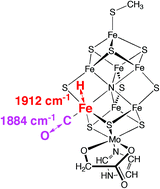 Calculated vibrational frequencies for FeMo-co, the active site of ...