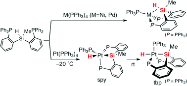 Reaction of bis(o-phosphinophenyl)silane with M(PPh3)4 (M = Ni, Pd, Pt ...