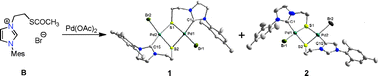 Syntheses and characterizations of thiolato-functionalized N ...
