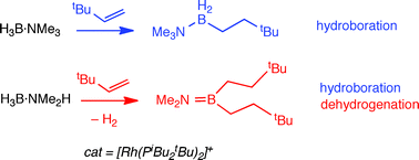 Hydroboration of an alkene by amine–boranes catalysed by a [Rh(PR3)2 ...