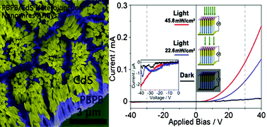 Synthesis and characterization of axial heterojunction inorganic ...