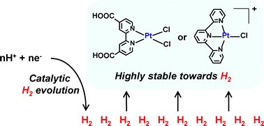 Stability of Pt(ii)-based H2-evolving catalysts against H2 in aqueous ...