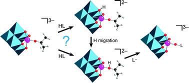 Protonolysis of [(iPrO)TiMo5O18]3−: access to a family of TiMo5 ...