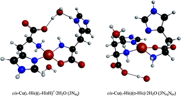Complex formation, chemical exchange, species structure, and ...