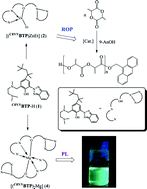 Zinc and magnesium complexes incorporated by bis(amine) benzotriazole ...