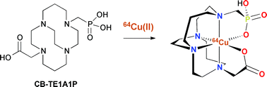 Synthesis, Cu(ii) complexation, 64Cu-labeling and biological evaluation ...